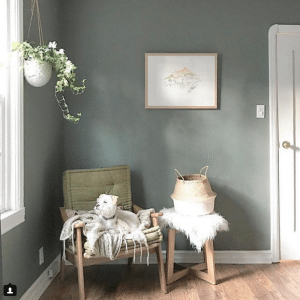 25 Beautiful Gray Green Paint Colors to Transform Your Home - Northern ...