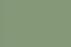 What Are Some Common Names Associated with Grayish-Green? - Northern ...