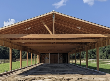 11 FREE DIY Birdhouse Plans to Build Today: Step-By-Step Guide ...