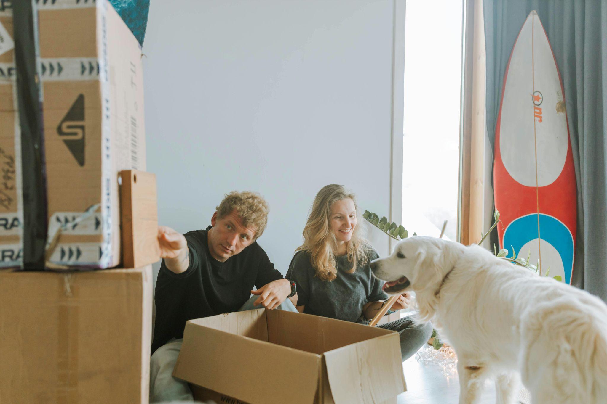 Moving With Pets? How to Make Packing Easier for Your Furry Friends