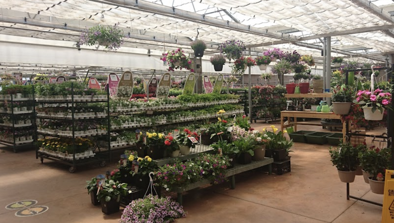 14 Must-Visit Plant Shops in Calgary - Northern Feeling