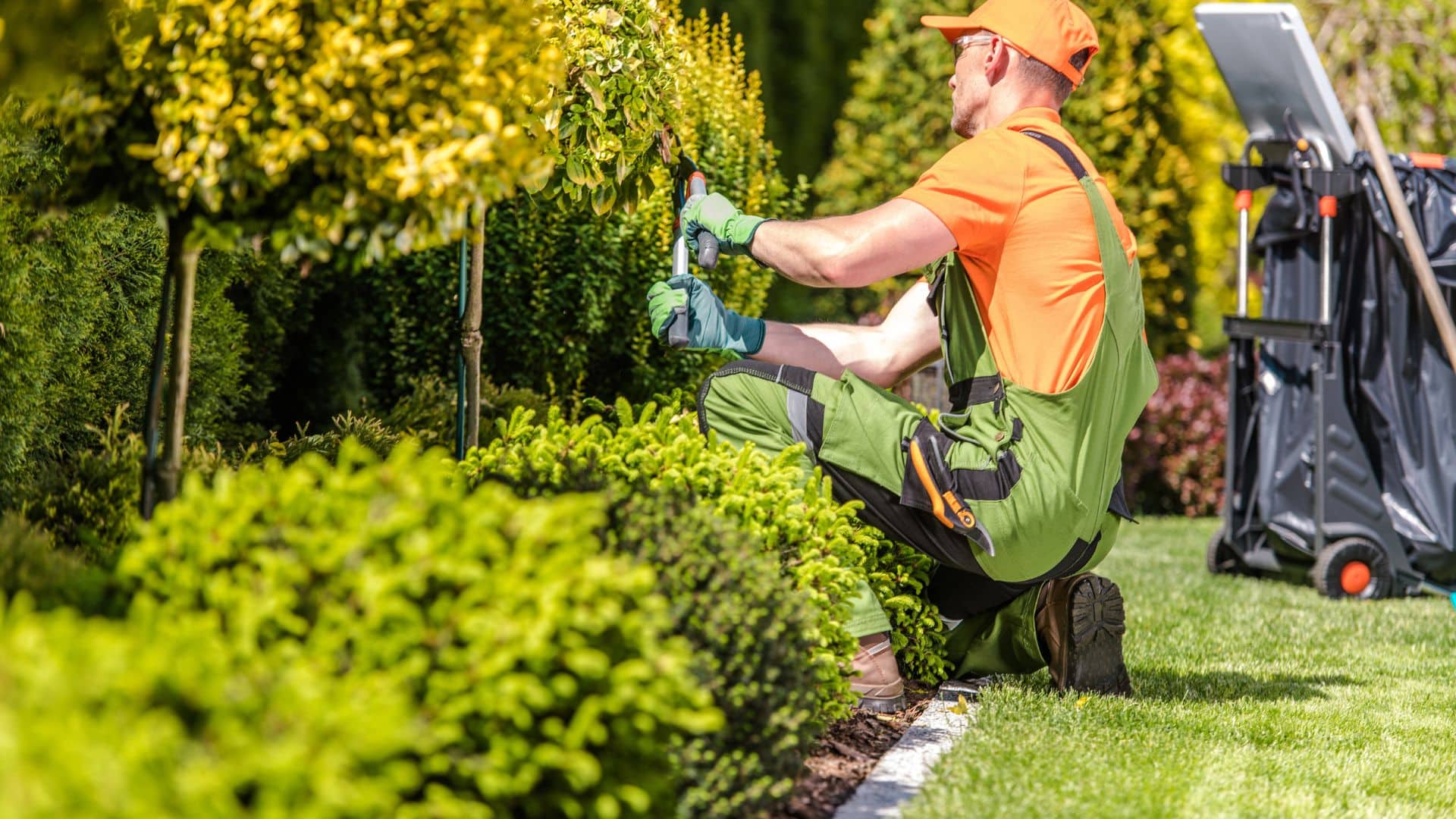 8 Common Landscaping Challenges and How to Address Them - Northern Feeling